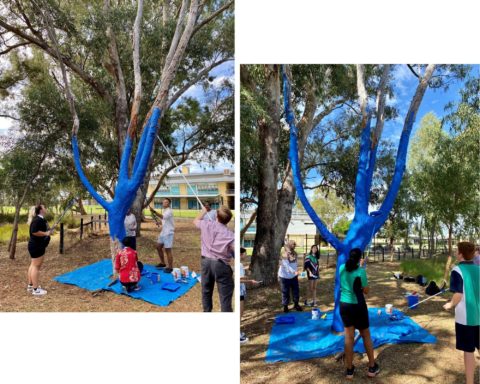 Student Council Support The Blue Tree Project | Canning Vale College