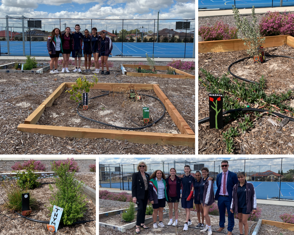 Aboriginal School Based Traineeship Students Create Edible Garden ...